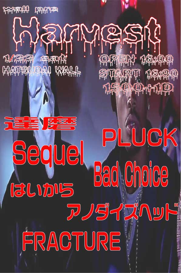 Bad Choice – Livehouse Wall